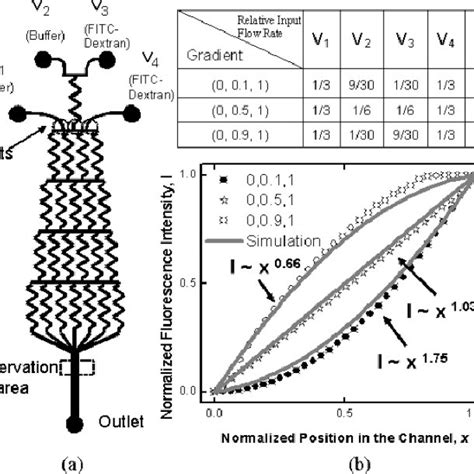 Generation Of Dynamic Linear Gradients A Design Of The Microfluidic