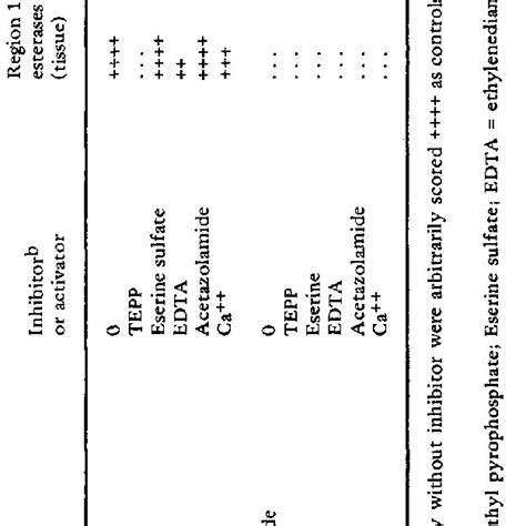 Activity Of Esterase Regions In The Presence Of Two Substrates And