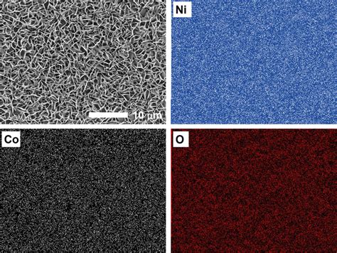 Electron Image A And Elemental Mapping With Ni B Co C And O D Download Scientific