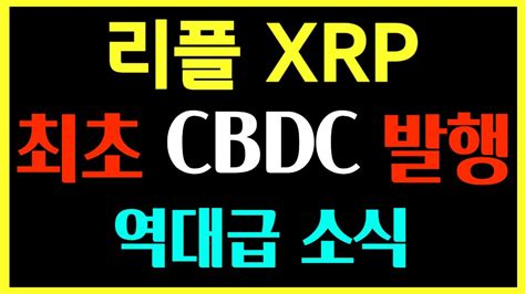 리플 리플 최초 Cbdc 발행 역대급 소식 Youtube