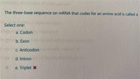 Solved The Three Base Sequence On Mrna That Codes For An