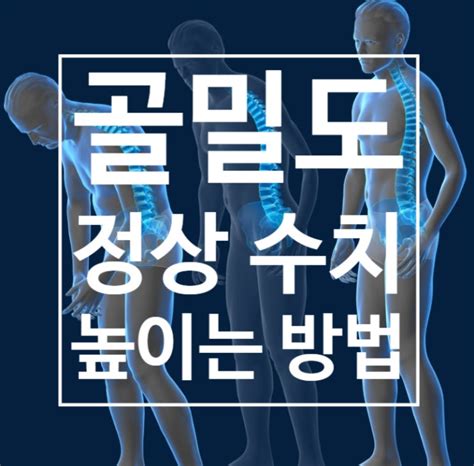 골밀도 검사 정상 수치 골다공증 및 골밀도 높이는 방법 네이버 블로그