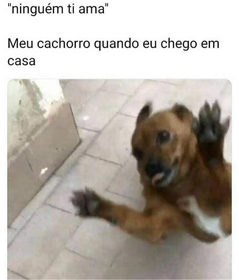 Quando Eu Chego Em Casa Librain