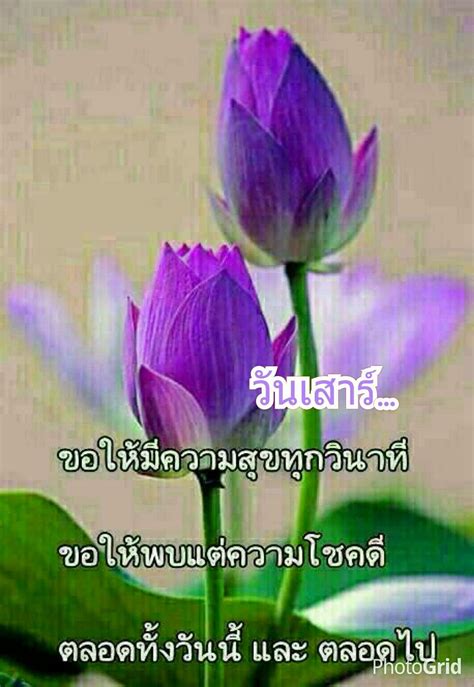 ปักพินโดย Lilly Issa ใน Weekdaysandweekend ดอกไม้สีม่วง ธรรมชาติ ดอกไม้