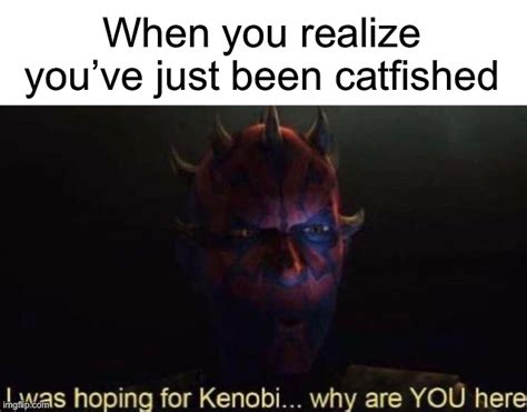 Catfish Memes And S Imgflip