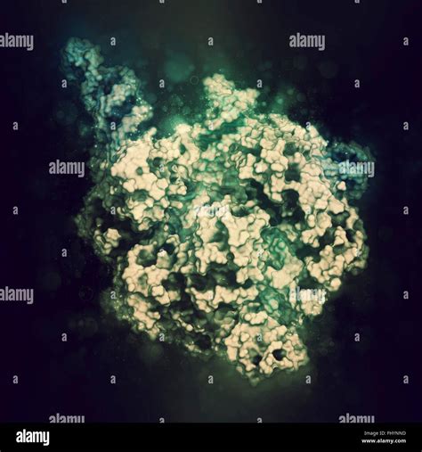 Crispr Cas9 Gene Editing Complex From Streptococcus Pyogenes The Cas9