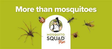 Mosquito Squad