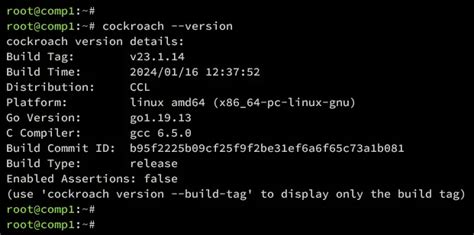 how to install cockroachdb cluster on debian 12