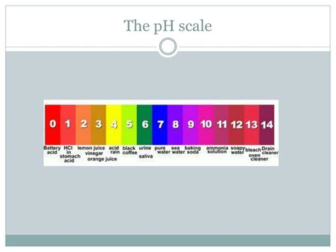Ppt The Ph Scale Powerpoint Presentation Free Download Id3960197