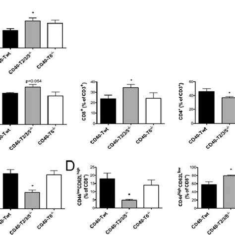 Cd40 Traf6 Interaction Inhibitor Improves Metabolic Dysregulation And