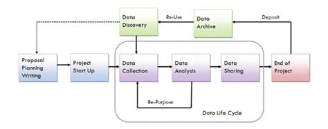 Data Life Cycle Department Of Psychology