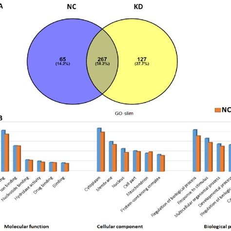 Kegg Pathway Hierarchical Clustering Trees Pathways Such As Download Scientific Diagram
