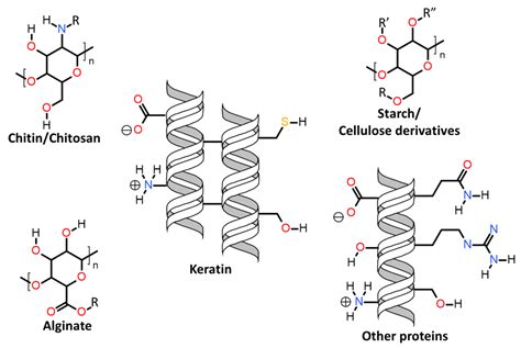 Protein Keratin Function At Paulette Flores Blog