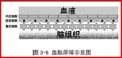物种屏障 种间屏障 屏障 第3页 大山谷图库