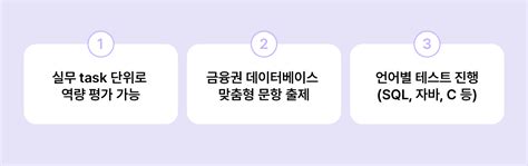 직급별 역량 체계 구축을 위한 개발자 테스트 솔루션