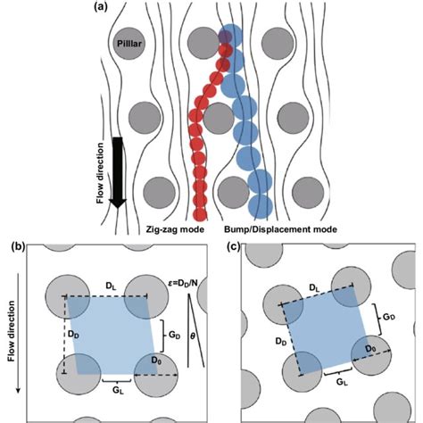 A Sidewall Effect On The Particle Separation The Regions Without The