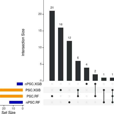 Feature Overlap Between The Best Performing Models The Intersection