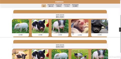 Flask毕设养殖管理系统（程序论文） Csdn博客