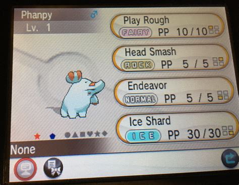 Four Egg Move Phanpy Hatched Yesterday Definitely Hard To Notice
