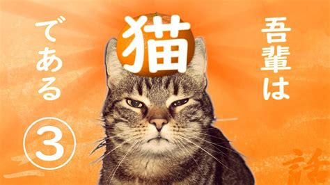朗読吾輩は猫である 3 夏目漱石 YouTube