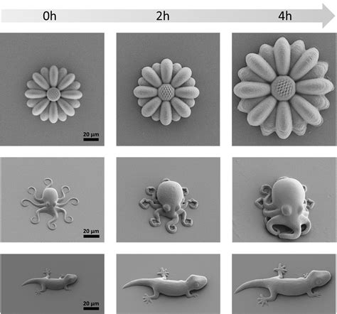 모양이 변하는 초미세 4d 프린팅 기술