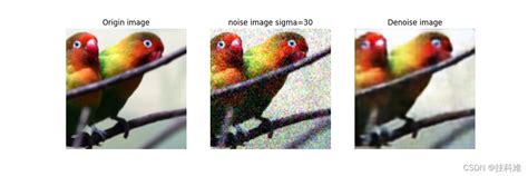 卷积自编码去噪（基于pytorch）卷积神经网络图像去噪pytorch代码 Csdn博客