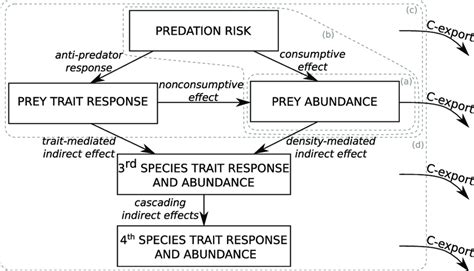 Conceptual Framework Of The Consequences Of Predation Risk On The Food Download Scientific