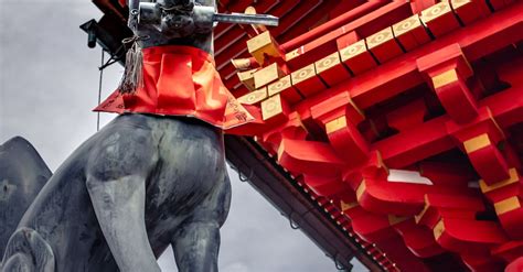 Kitsune 가디언 동상 건축 관광 관광 명소 교토 교토부 동상 동상 클로즈업 랜드마크 목공 문화 아이콘 문화 유산 문화적 보호자 빨간 빨간