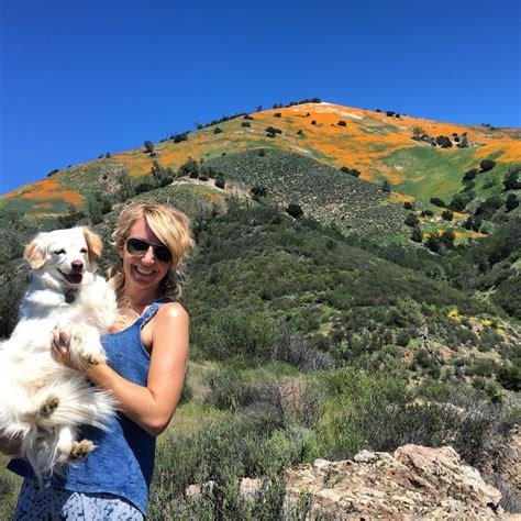 Grass Mountain Exploding With Poppies Art Spot