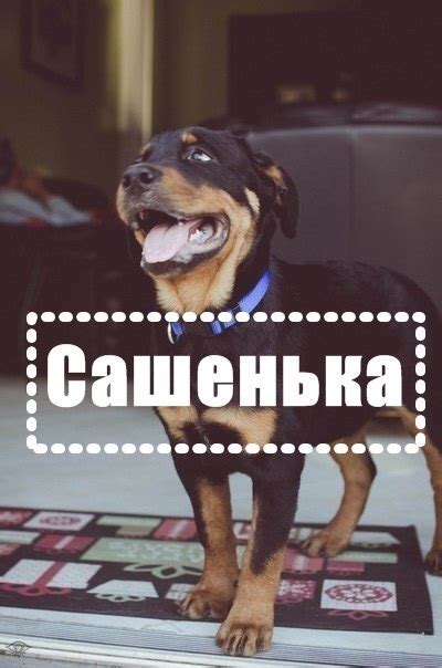 •Имя• Саша ВКонтакте