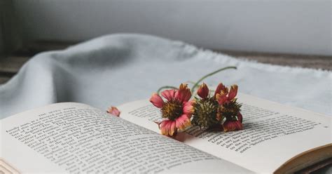 Os 15 Melhores Livros De Romance De época Para Se Emocionar Maiores E