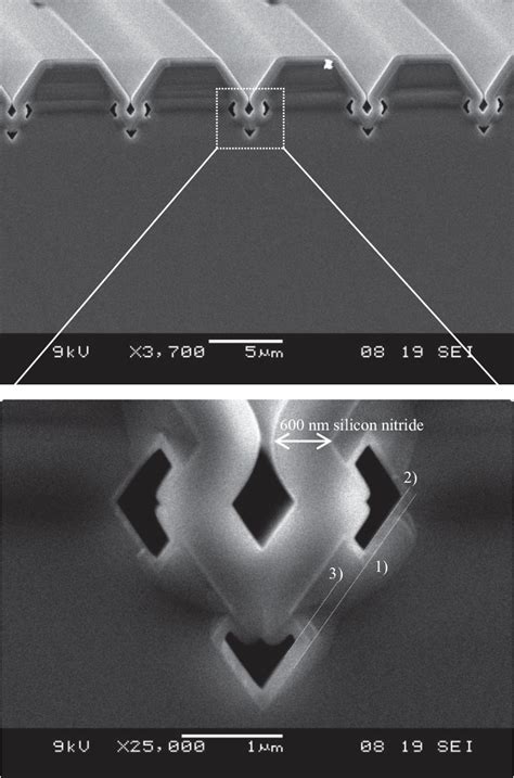 Structures As Shown In Fig 5 Left After Closure Of The Smallest Download Scientific Diagram