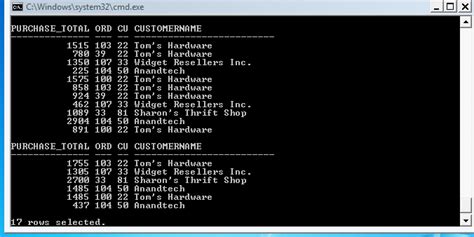 Oracle Database How To Calculate Grand Totals For Invoices With Multiple Purchases In Sql