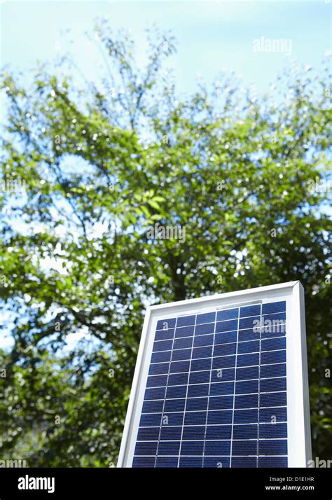 Trees And A Solar Panel Stock Photo Alamy