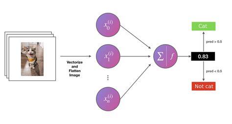 Logistic Regression How To Build A Cat Classifier From Scratch Ml Cheat Sheet