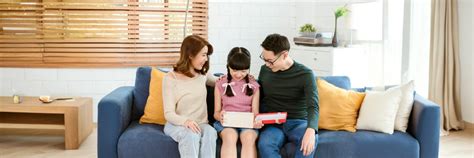 Comprehensive Guide To Lymphocyte Proliferation Assay Testing The Kingsley Clinic