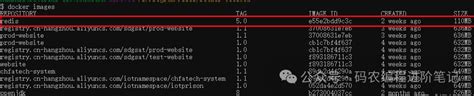 Docker安装redis并启动设置密码docker Redis 设置密码 Csdn博客