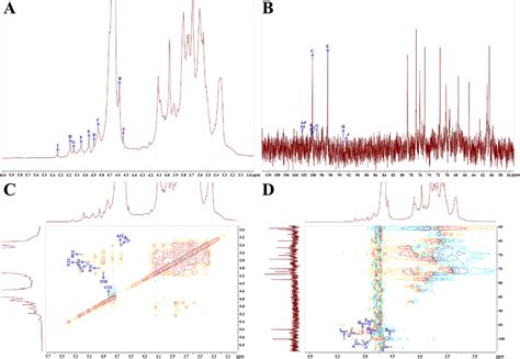 ¹h A¹³c B Hmbc C And Hsqc D Nmr Spectra Of Exopolysaccharide Download Scientific