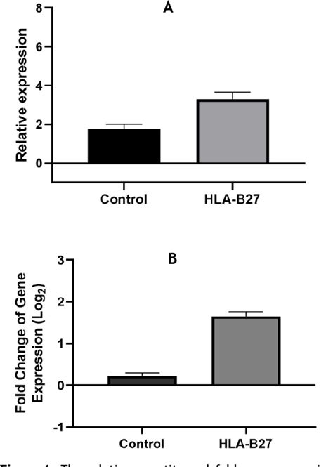 Figure 1 From Association Of Hla B27 Gene And Rheumatoid Arthritis Analysis Of Potential Role