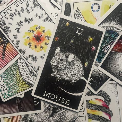 Wu Animal Spirit Oracle Three Card Spread Video Oracle Card Reading
