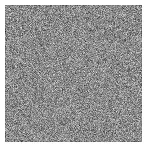 the key sensitivity test a plain image 512 × 512 b host image