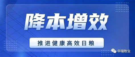 年后豆粕价格飙涨，新一轮饲料涨价或将再度袭来！“降本增效”的高效日粮应该如何推进？营养设计方向