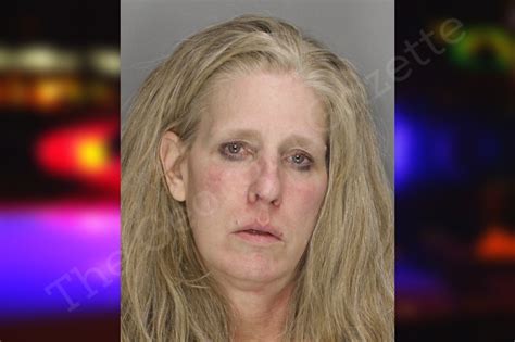 Lisa Erdoes — Cobb County Jail Bookings