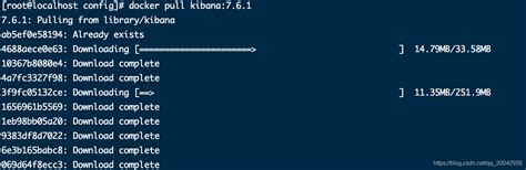 淘东电商项目（38） docker下安装esandkibana（一次填完所有的坑） 阿里云开发者社区