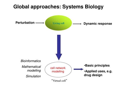 PPT Biological Pathway And Systems Analysis PowerPoint Presentation Free Download ID