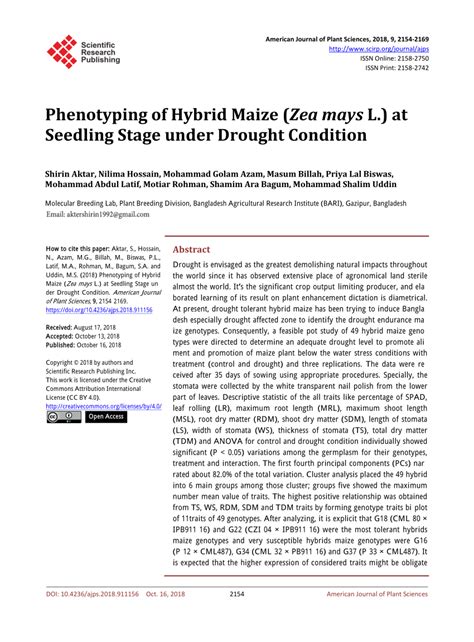 PDF Phenotyping Of Hybrid Maize Zea Mays L At Seedling Stage Under Drought Condition