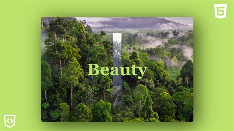 Image Reveal Hover Effect With Html And Css Youtube