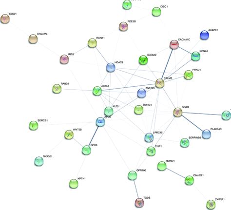 Genetic Network Enrichment Plot All Nodes Represent Direct Annotations