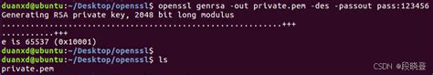 5 openssl命令行之genrsa rsa生成公私钥 openssl生成公钥和私钥 csdn博客
