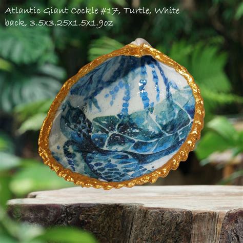 Decoupage Atlantic Giant Cockle Clam Shell Ring Dish Nautical Ocean